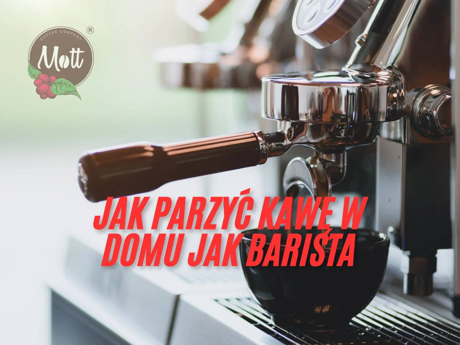 Jak parzyć kawę w domu? Krótki przewodnik Mott Coffee – MottCoffee.com