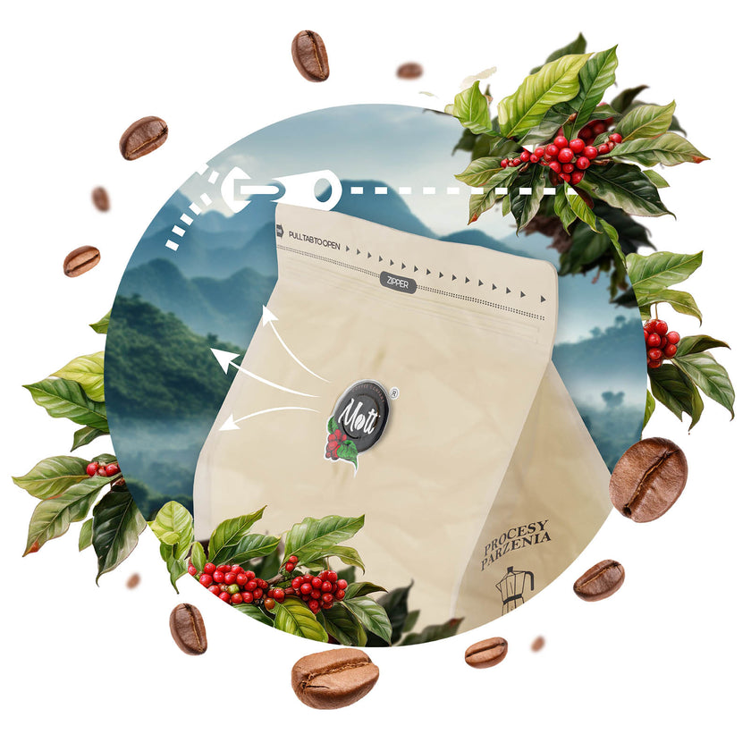 Gato - Kawa ziarnista 1000g - Mott Coffee – MottCoffee.com